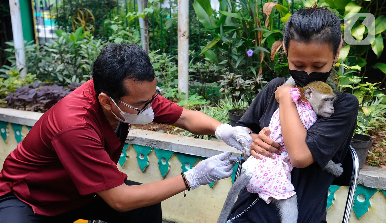 Vaksin Rabies Gratis untuk Hewan Peliharaan di Jakarta - Foto Liputan6.com