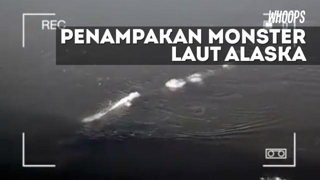 Berita Monster Laut Hari Ini - Kabar Terbaru Terkini | Liputan6.com