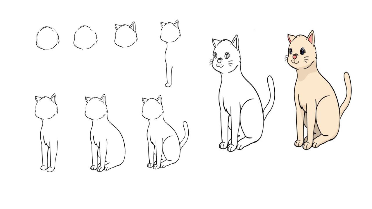3 Cara Menggambar Kucing dengan Mudah, Lucu Dan Realistis
