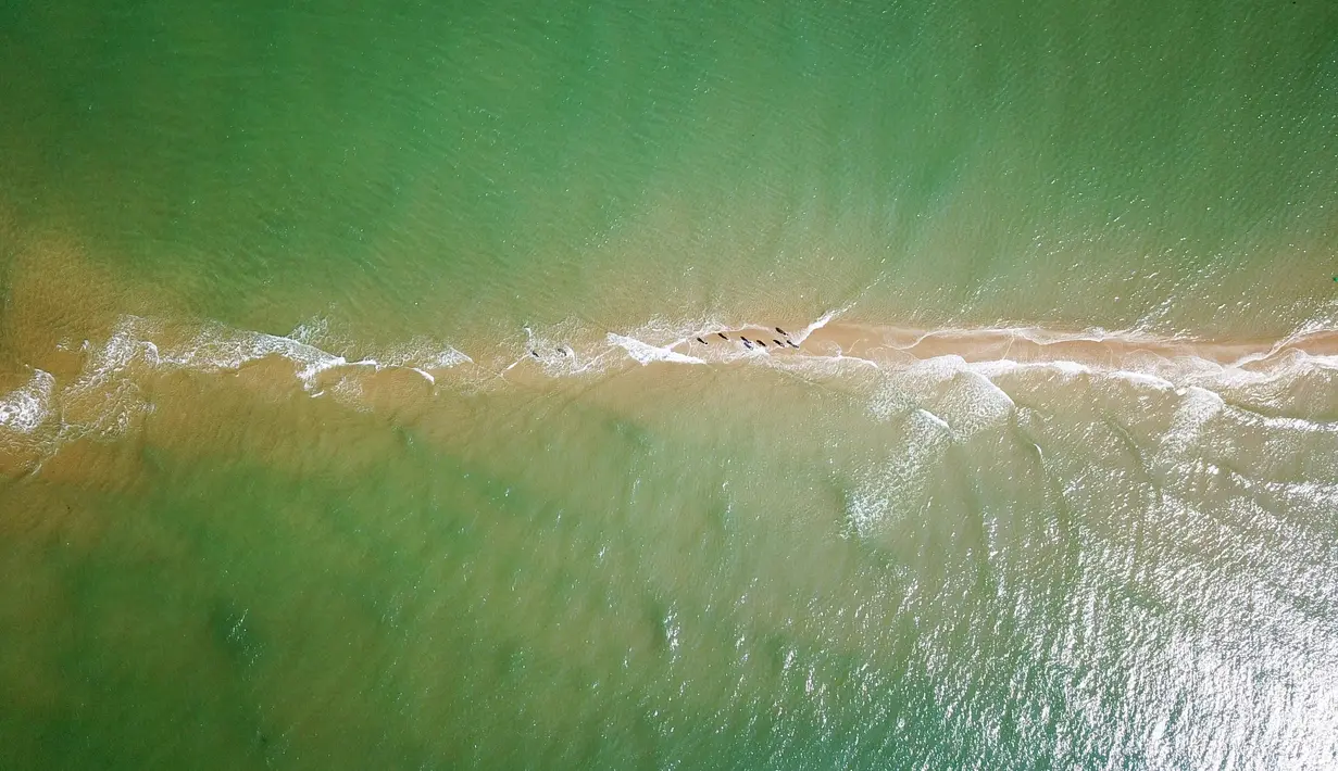 FOTO: Pesona Gosong Pasir yang Jadi Objek Wisata Populer - Foto ...