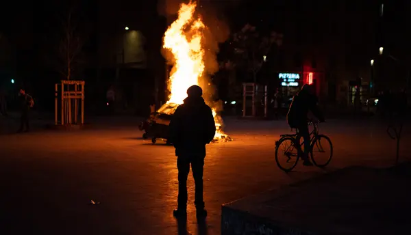 Mengenal Wisdom, Burung Liar Tertua Berusia 70 Tahun - Global Liputan6.com