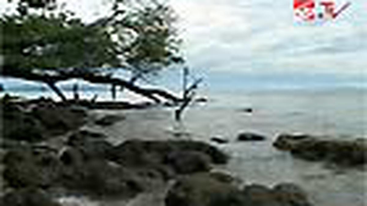 Pesona Pantai Bunga yang Tersembunyi - Video Liputan6.com