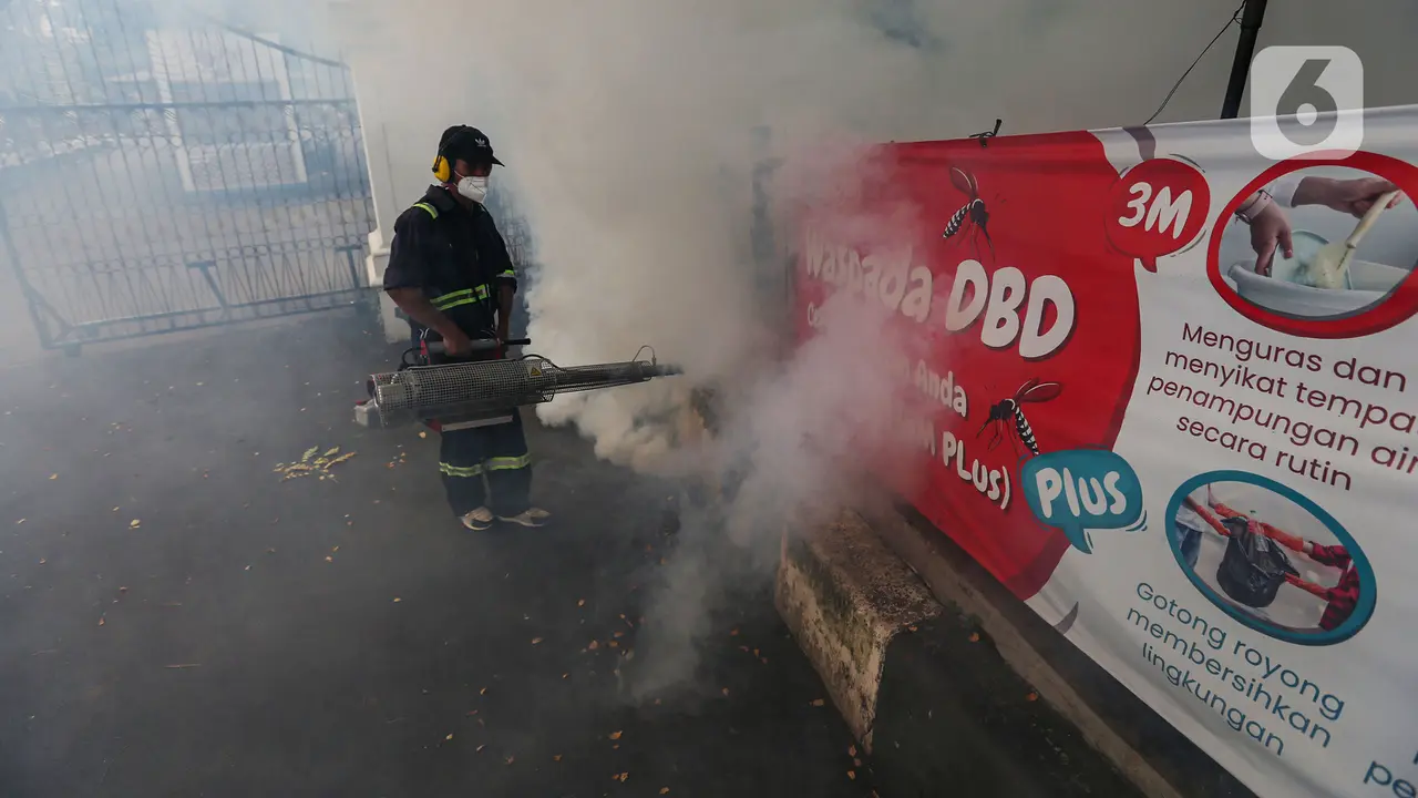 Pentingnya Vaksinasi dan Gerakan 3M Plus dalam Pencegahan DBD, Kasus ...