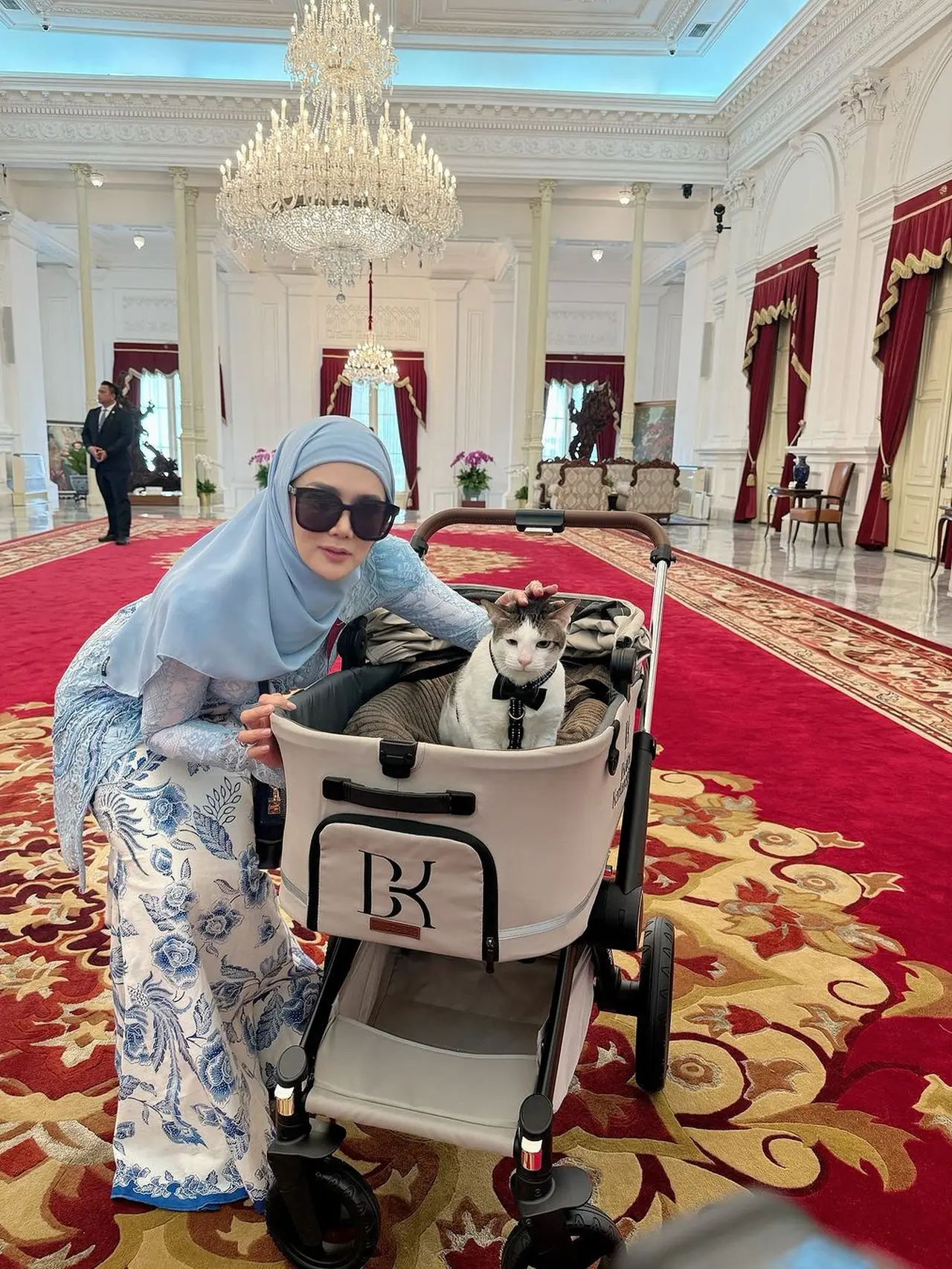 7 Potret Bobby Kucing Prabowo di Pelantikan Presiden, Jadi Penghuni ...