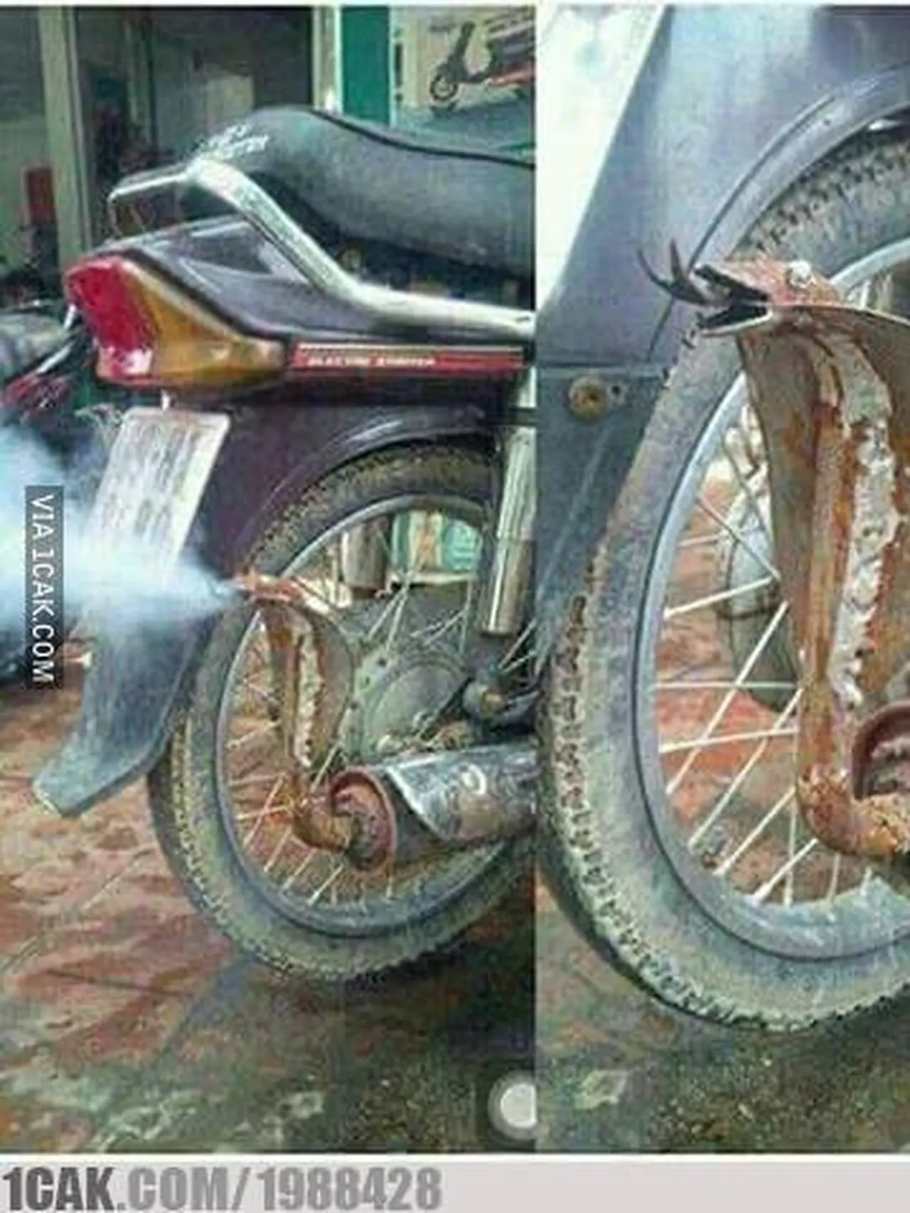 6 Modifikasi Knalpot Motor dengan Bentuk Nyeleneh, Enggak Habis Pikir ...