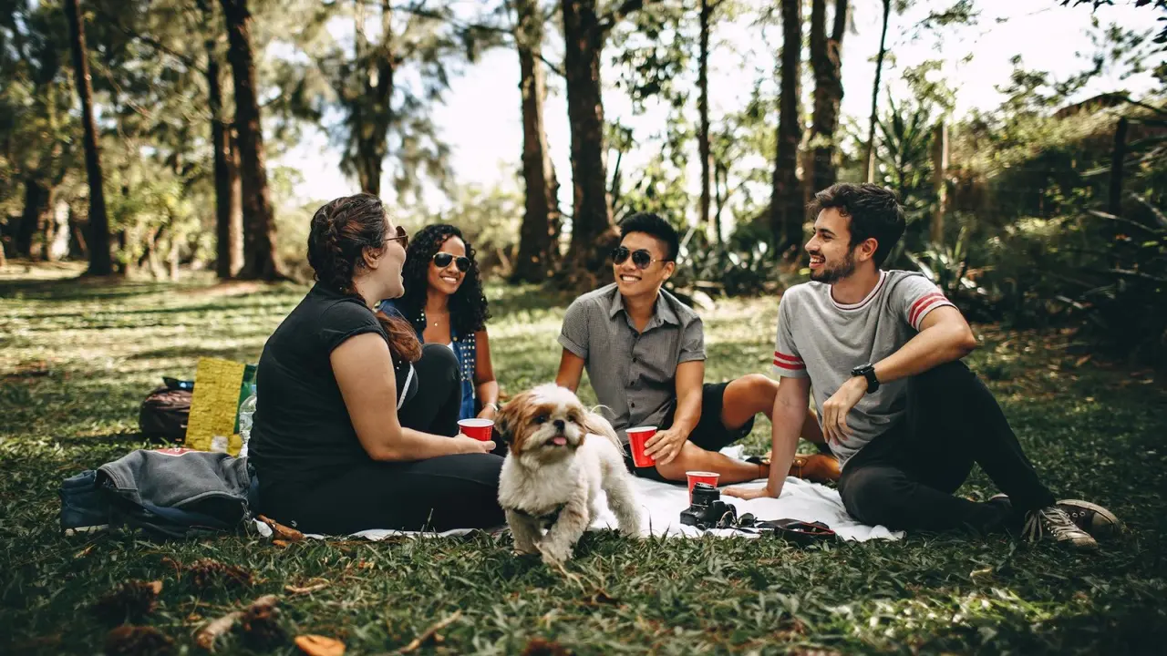 120 Happy Weekend Quotes dan Artinya, Buat Akhir Pekanmu Jadi Lebih ...