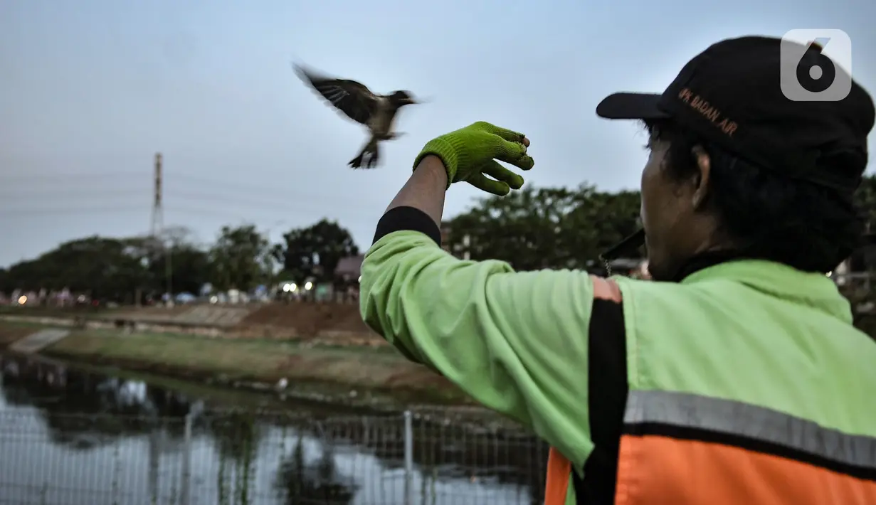 FOTO: Melatih Burung Terbang Bebas di Langit Jakarta - Foto Liputan6.com