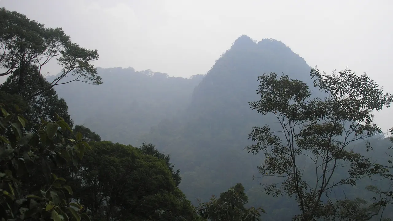 6 Fakta Menarik Gunung Halau-Halau di Kalimantan Selatan yang Dianggap ...