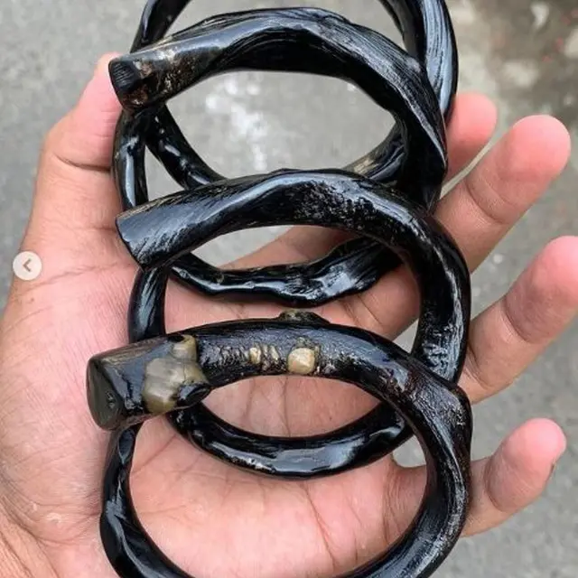 5 Manfaat Akar Bahar, Baik untuk Kesehatan dan Aksesoris - Hot Liputan6.com