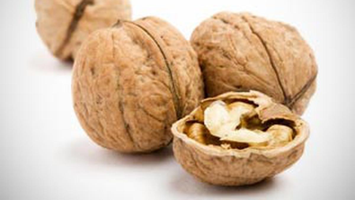 Pria yang Ingin Jadi Ayah Cobalah Kenari - Health Liputan6.com