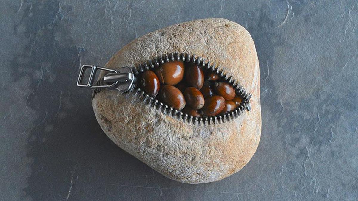 Seniman Ini Mengubah Batu Biasa Menjadi Karya-Karya Menakjubkan ...