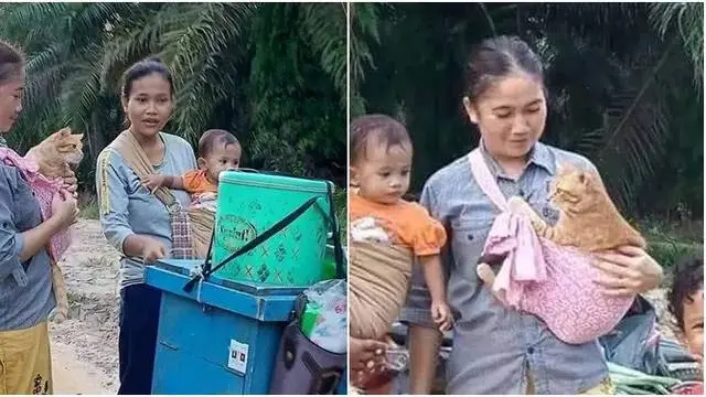 10 Potret Lucu Kucing saat Digendong, Ada yang Dipeluk Hingga Pakai ...