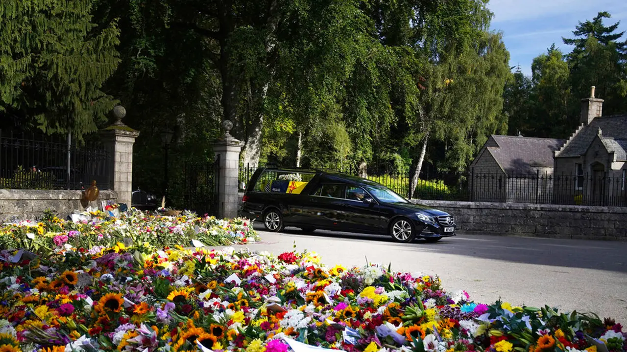 Mengapa Bunga Matahari Banyak Dipersembahkan ke Ratu Elizabeth II? Ini ...