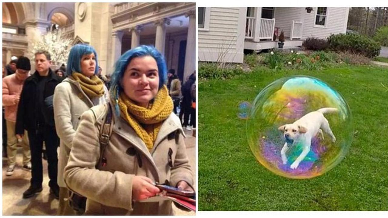 10 Momen Kebetulan Saat Tertangkap Kamera Ini Bikin Heran, Harus Lihat ...