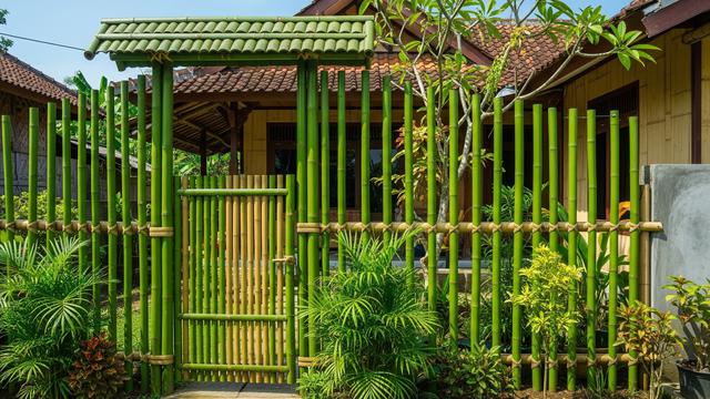 6 Model Pagar Bambu yang Bikin Rumah Desa Terlihat Artistik dan Murah ...