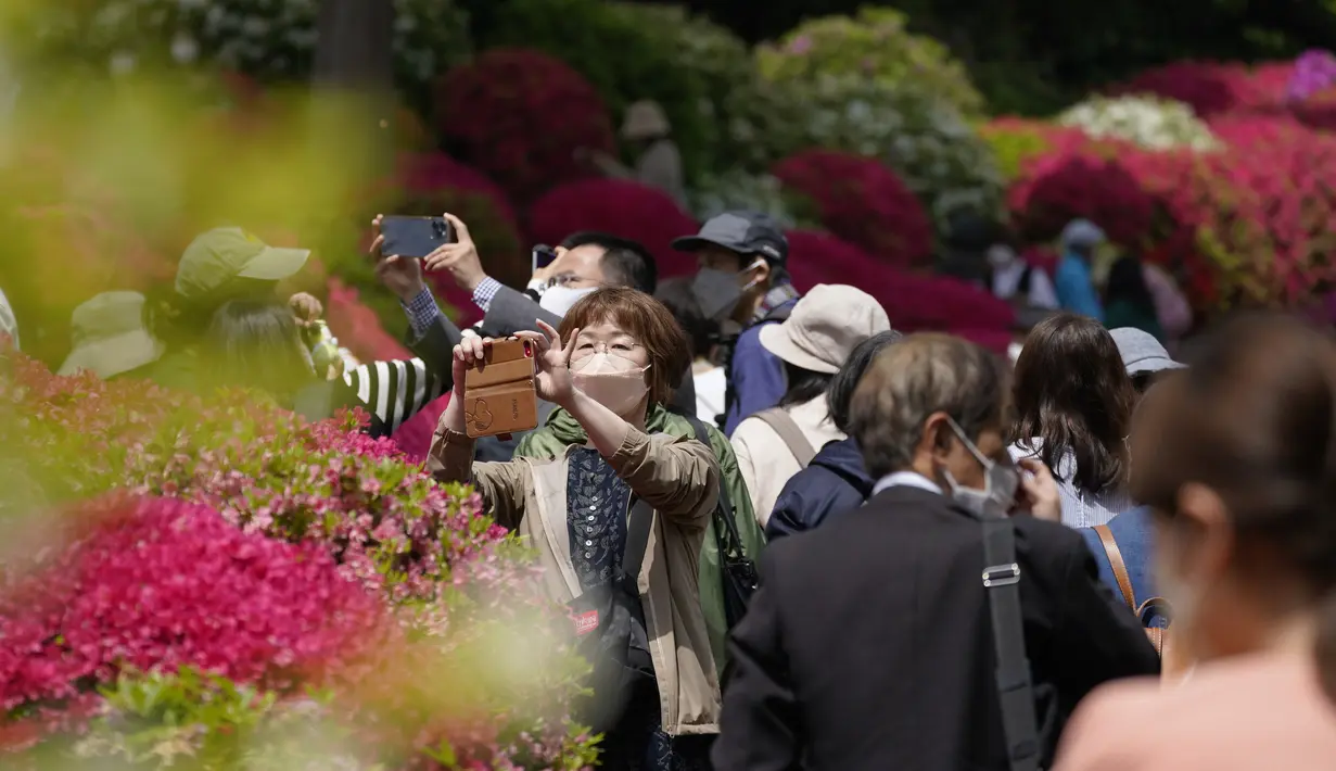 FOTO: Semarak Semak Penuh Warna di Taman Azalea Tokyo - Foto Liputan6.com