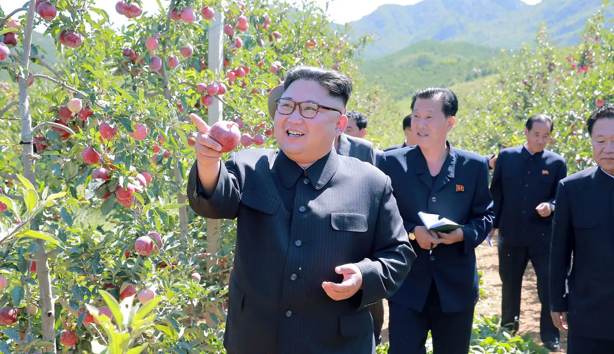 PHOTO: Kim Jong-un Semringah Lihat Kebun Apelnya Subur - Foto Liputan6.com