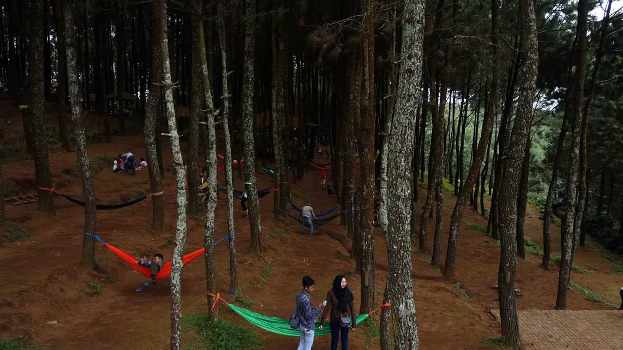 6 Fakta Menarik Gunung Burangrang, Sisa Hasil Letusan Gunung Sunda di ...