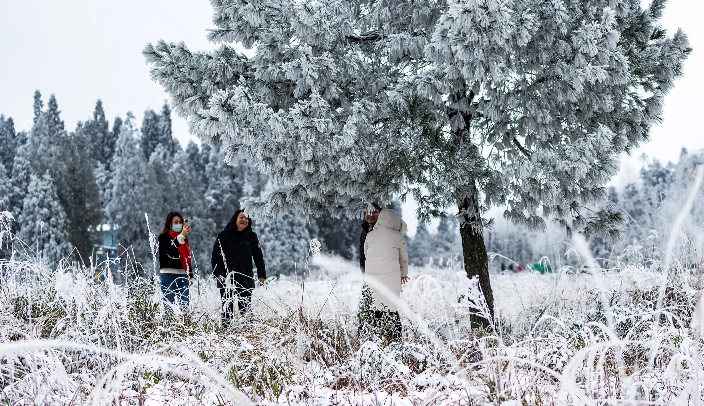 Suhu Dingin di China Bagian Utara Pecahkan Rekor - Foto Liputan6.com