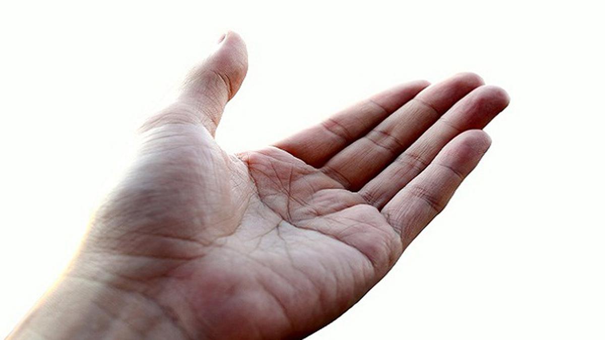 Rahasia di Balik Kekuatan Tangan Manusia - Citizen6 Liputan6.com