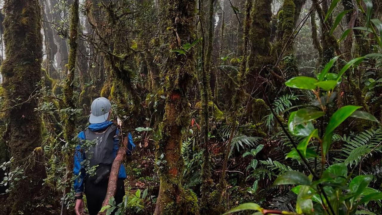 6 Fakta Menarik Gunung Liang di Malaysia yang Bersebelahan dengan ...