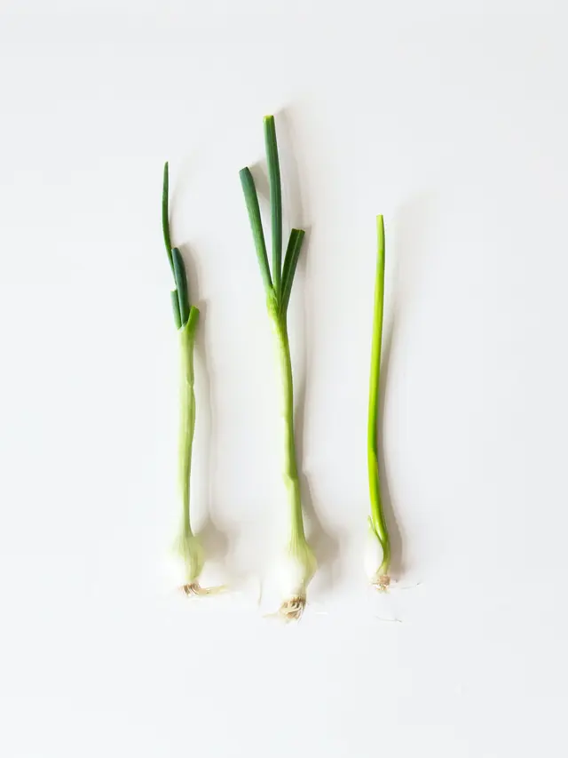 12 Manfaat Sereh bagi Kesehatan yang Jarang Diketahui - Ragam Bola.com