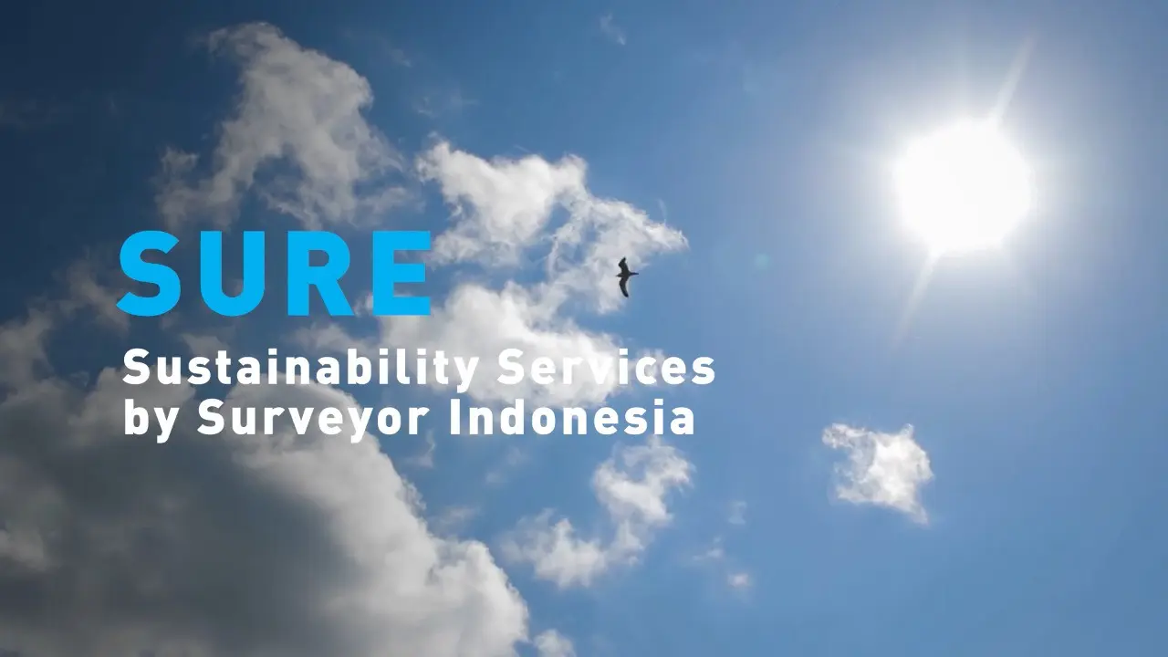 Surveyor Indonesia: 74 Kota di Indonesia Ikuti Rating Pencapaian SDGs - Bisnis Liputan6.com