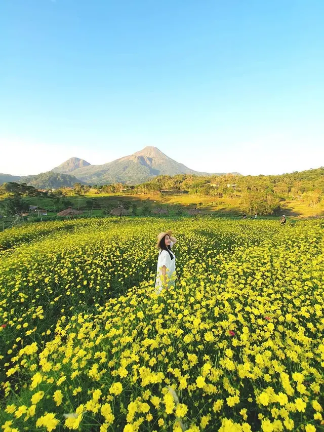 15 Wisata Trawas Terbaru 2025, Destinasi Wisata Alam dan Rekreasi ...