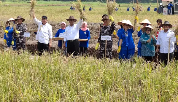 Deteksi Tanda dan Gejala Awal Stroke, Segera Lakukan Metode FAST ...