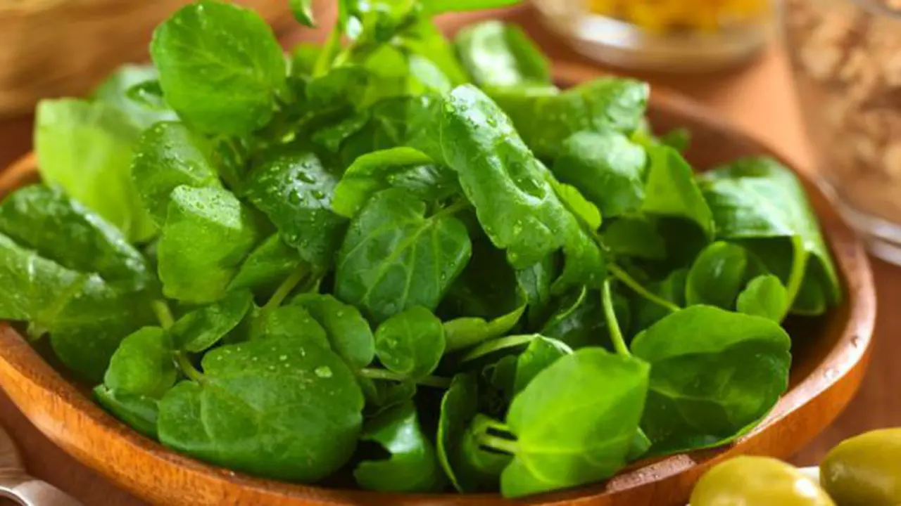 Resep Praktis Sup Selada Ayam, Menu Sahur Sat Set Cuma 15 Menit ...