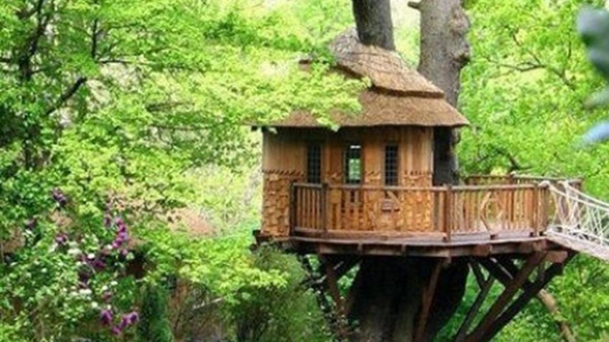Rumah Pohon Impian Super Unik Dan Mengagumkan
