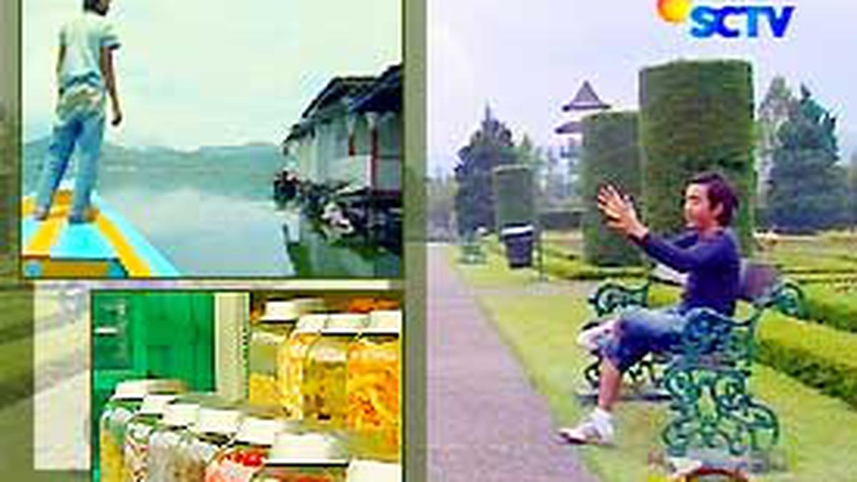 Wisata Flora di Taman Bunga Nusantara - News Liputan6.com