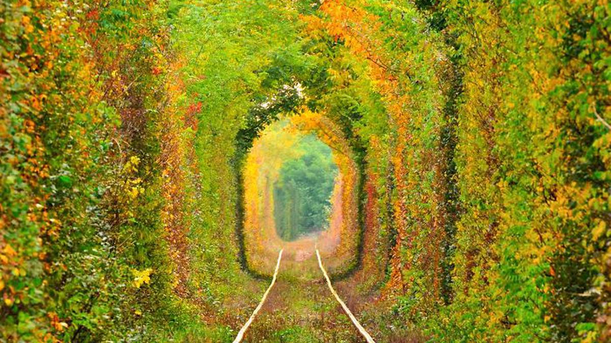 7 Jalan di Dunia yang Dikelilingi Rangkaian Bunga dan Pepohonan ...