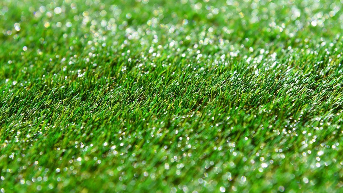3 Macam Rumput Sintetis yang Cocok untuk Dekorasi Rumah - Lifestyle ...