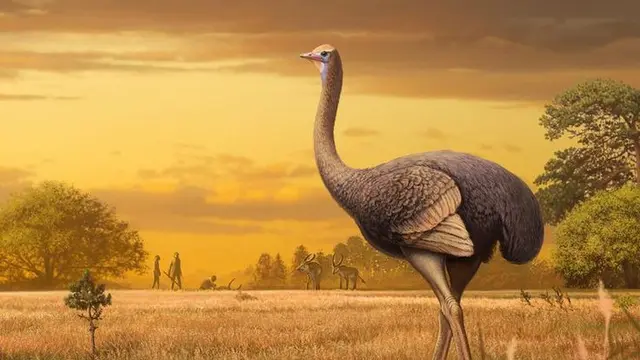 13 Hewan Purba Tertua di Dunia Ini Masih Hidup Sampai Sekarang, Apa ...