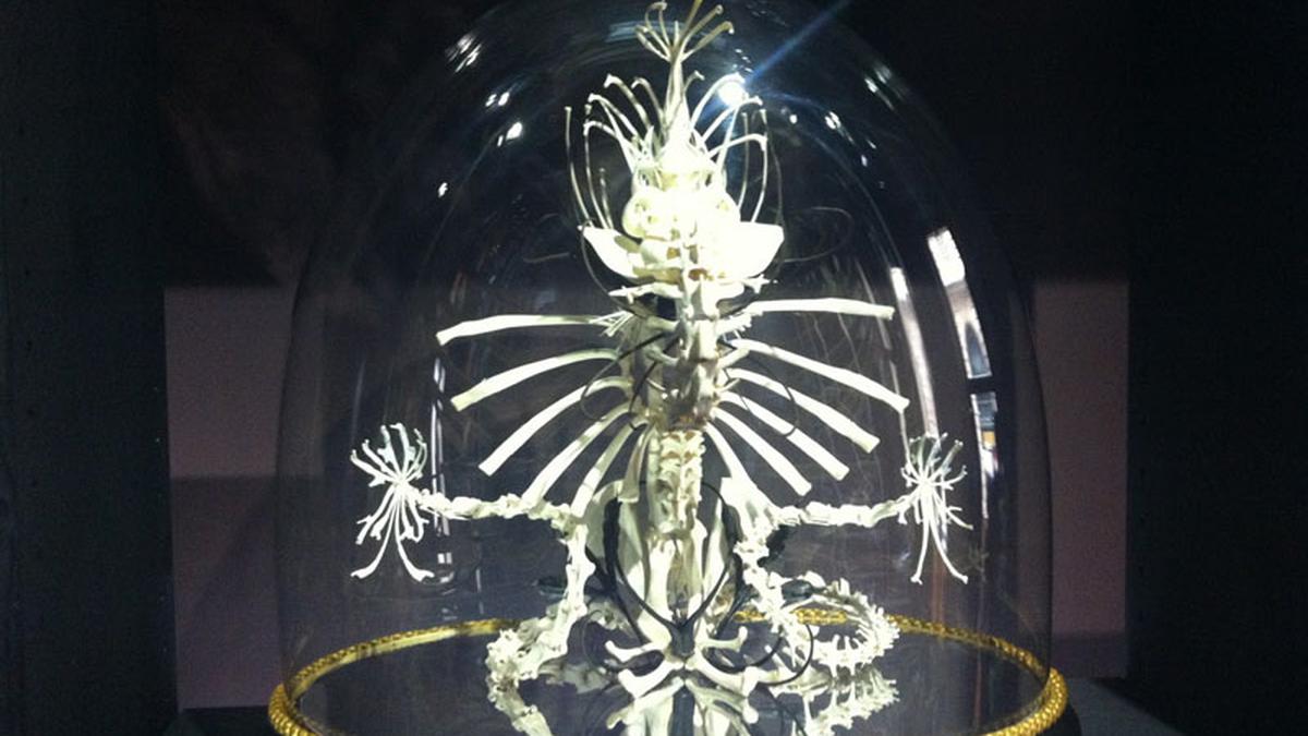 Kreasi Bunga Warna-Warni Seram Tapi Keren Banget - Photo Fimela.com