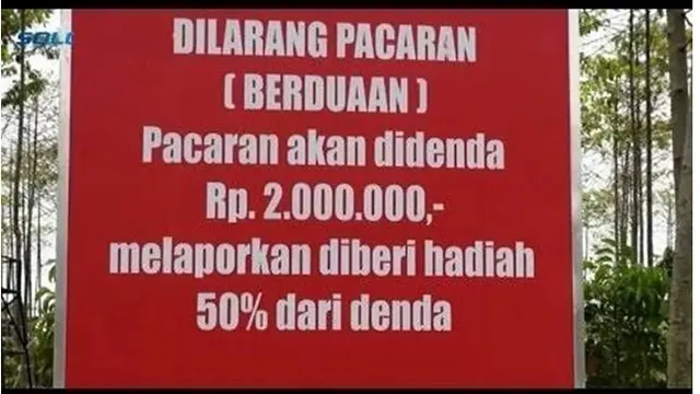 6 Tulisan Dilarang Pacaran Ini Bikin Senyum Tipis - Hot Liputan6.com