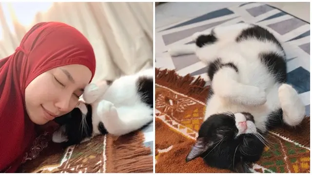 6 Potret Kucing Saat Temani Salat Ini Bikin Senyum Tipis - Hot Liputan6.com