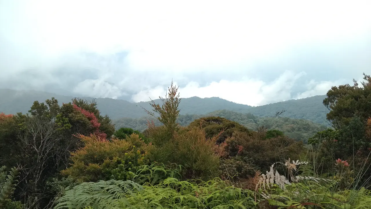 6 Fakta Menarik Gunung Benum yang Masuk Jajaran 10 Besar Puncak ...