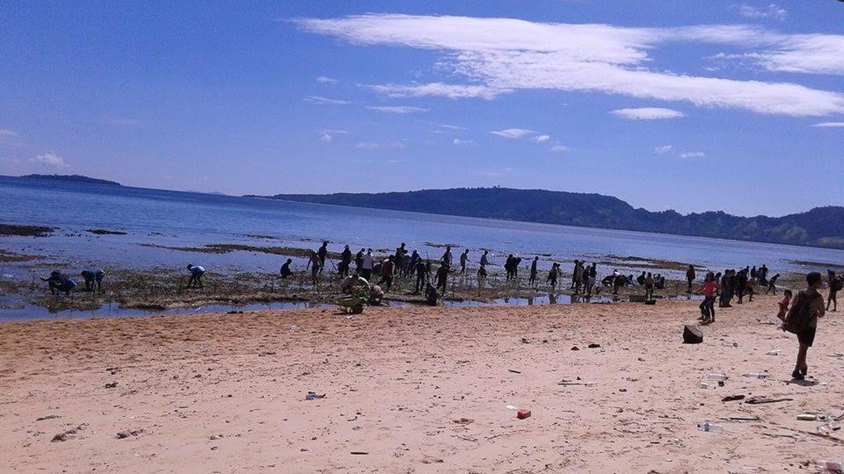 Pagi Ceria dengan Tanam Bakau di Pulau Bangka