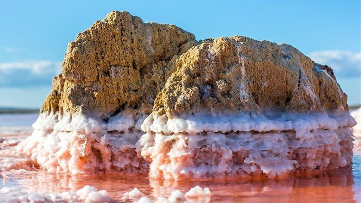 Danau Merah Muda Ini Mengandung Garam