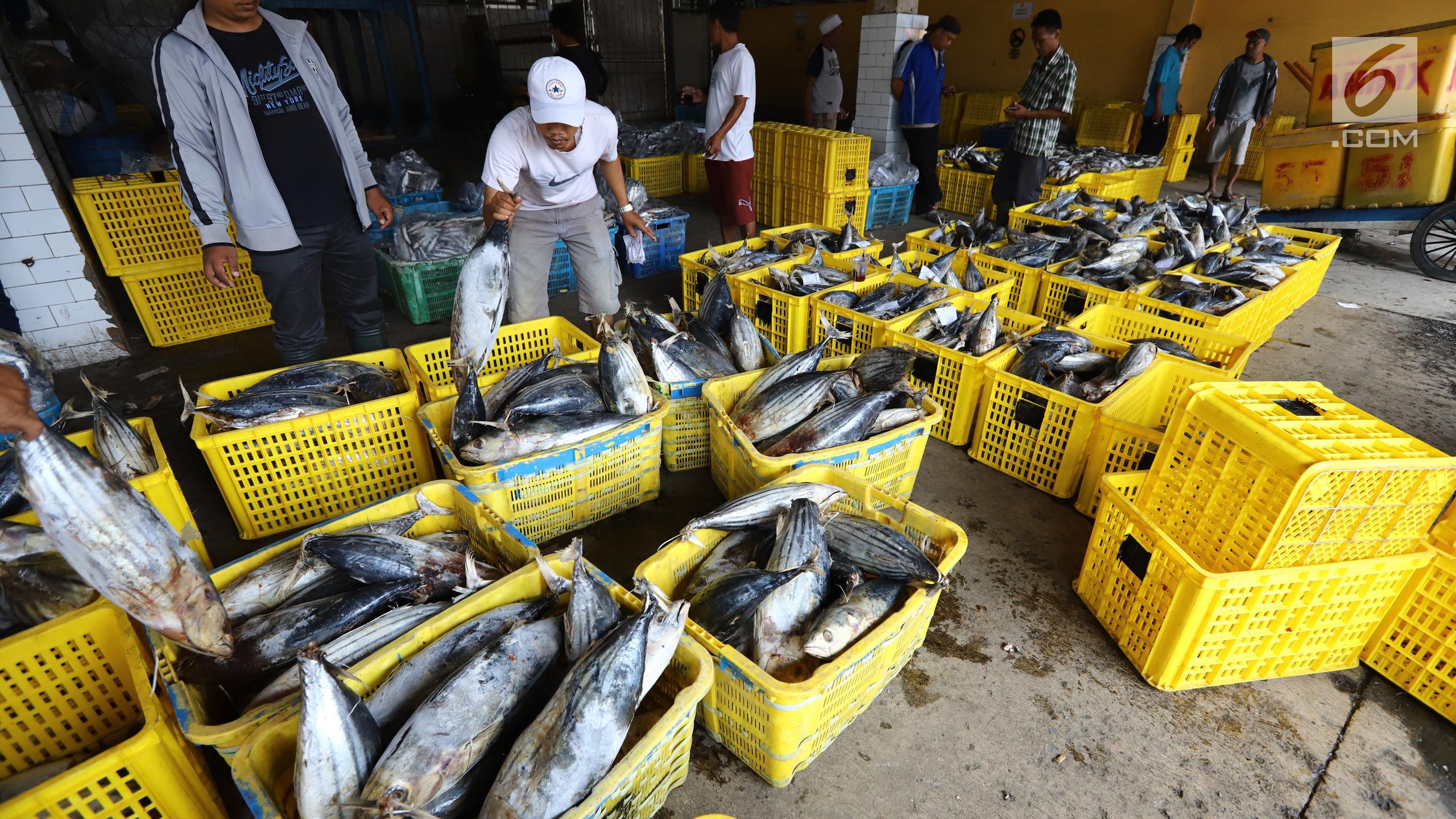 Pemerintah Bakal Batasi Penangkapan Ikan di 2025, Nelayan Untung atau ...