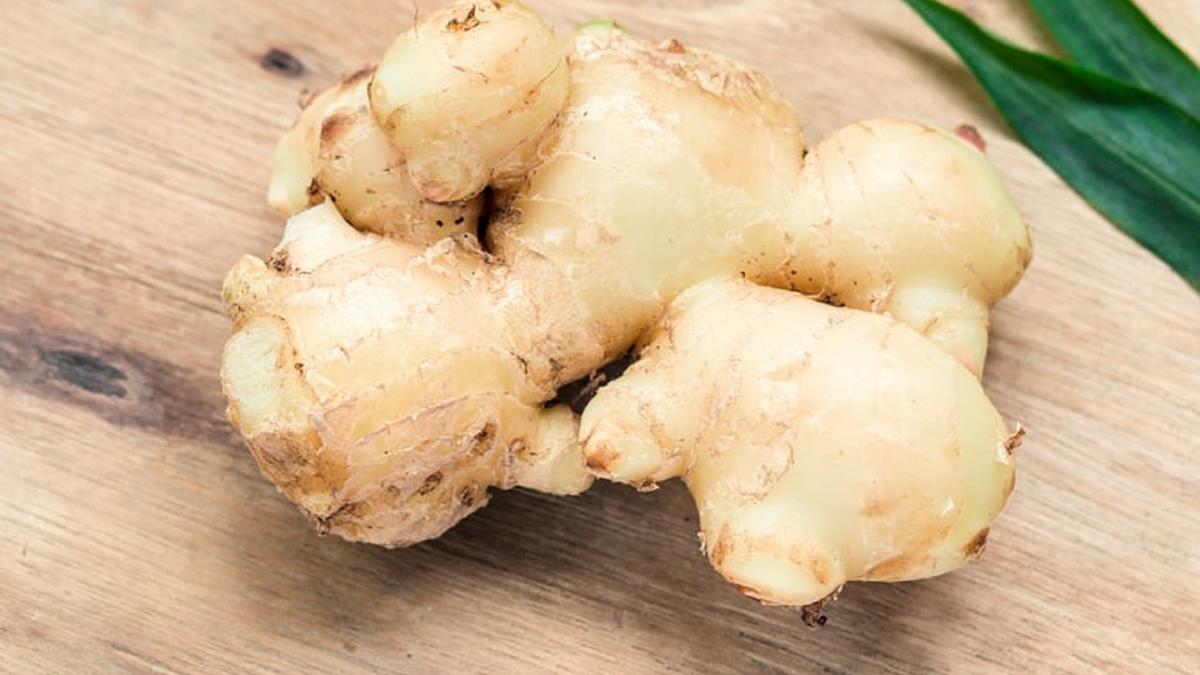 8 Manfaat Jahe untuk Kesehatan dan Cara Mengolahnya yang Tepat