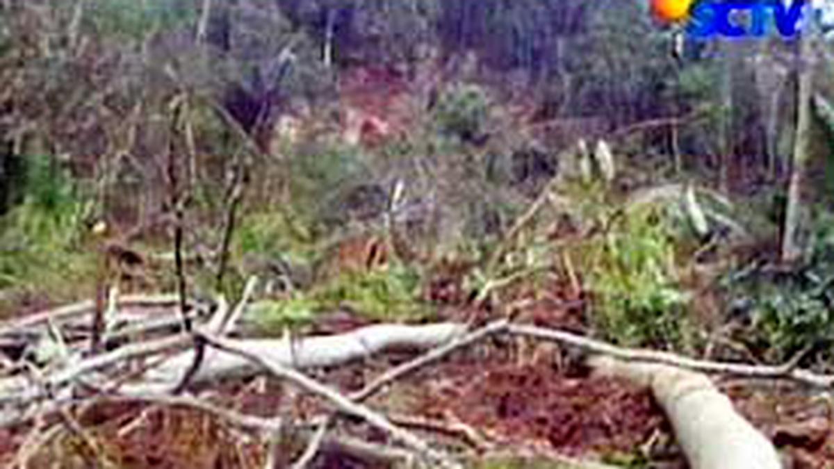 Terancam Longsor, Warga Mengungsi - News Liputan6.com