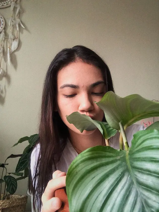 Hobi Berkebun, Ini 6 Potret Haico Van der Veken Pamer Tanaman ...