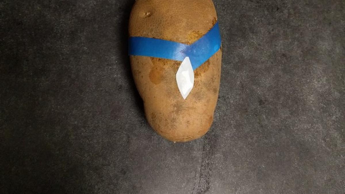 Orang Ini Ubah Kentang Jadi 10 Putri Disney, Hasilnya? Jayus Abis