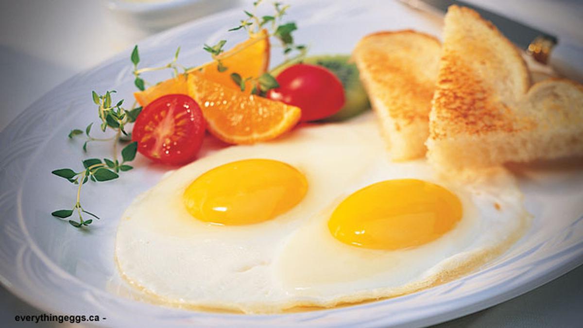 Sarapan Telur Bikin Awet Kenyang Sepanjang Hari