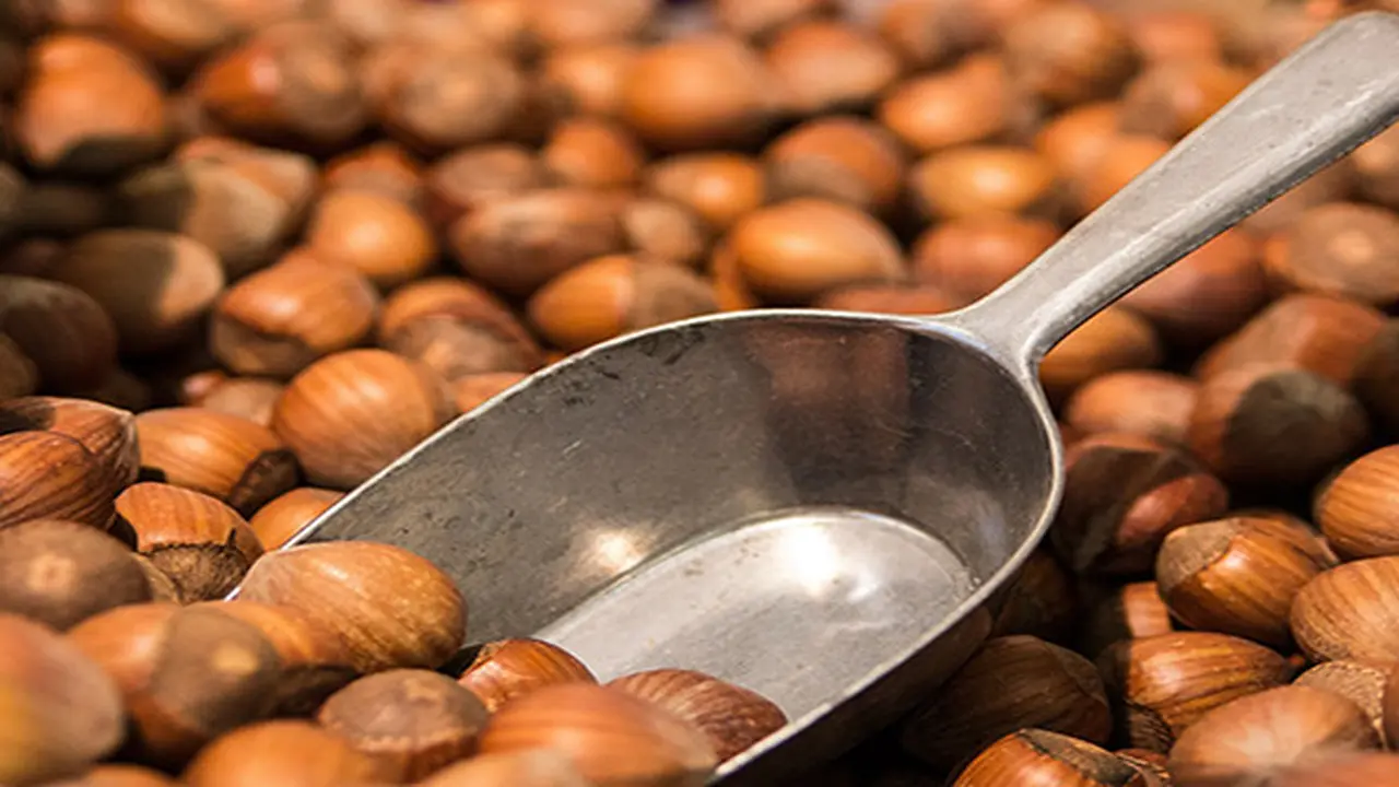 5 Manfaat Kacang Hazelnut Bagi Kesehatan Tubuh - Citizen6 Liputan6.com