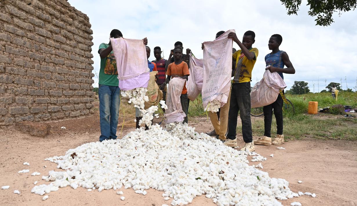 FOTO: Potret Petani Kapas Burkina Faso - Foto Liputan6.com