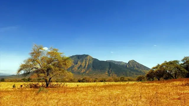 6 Destinasi Sabana di Indonesia yang Menyihir Mata dan Jiwa - Lifestyle ...